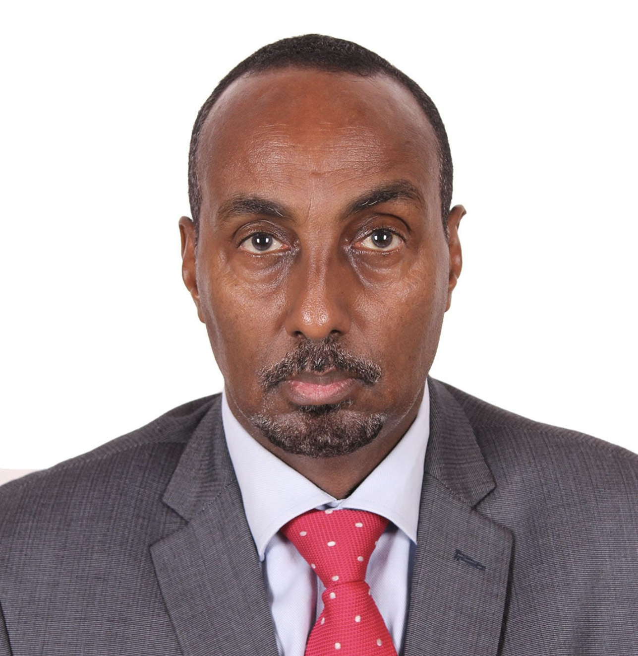 Private Sector Forum Speaker Profile-Abdi