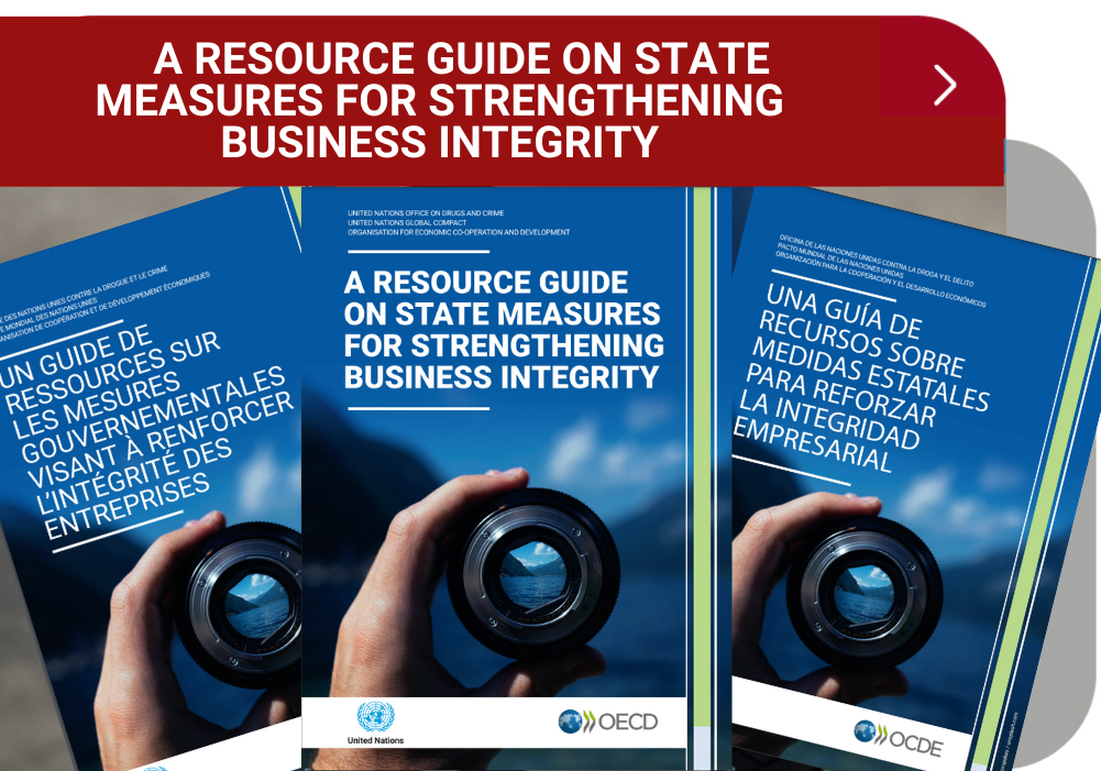 New Publication: A Resource Guide on State Measures for Strengthening ...